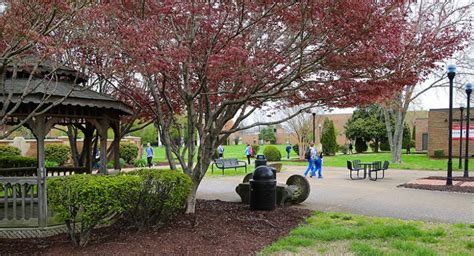 Image result for How to Use Tutor.com Vol State