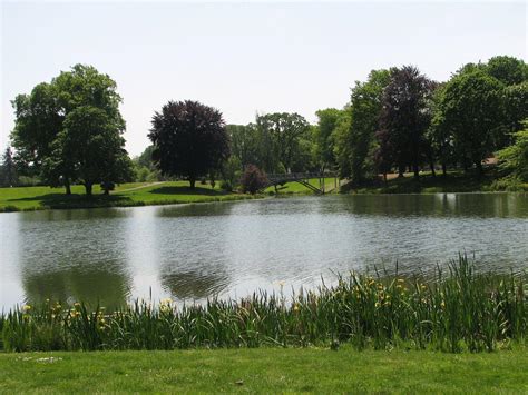 Image result for Nice Program Background