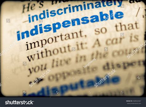 Image result for Indispensable Language