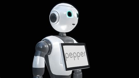 Image result for Pepper Robot Object