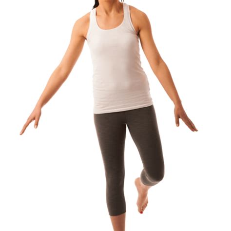 Image result for Dynamic Core Physical Therapy Exercises