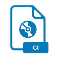 Image result for GI File