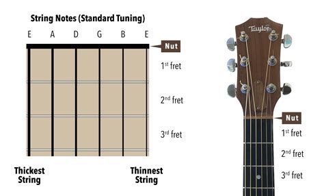 Image result for Chord Notes Explained