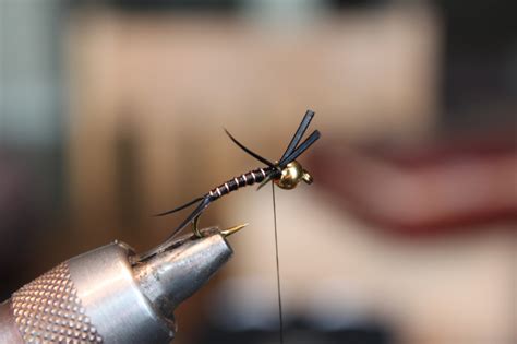 Image result for Fly Tying Stonefly Patterns