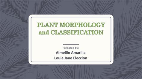 Image result for Morphological Classification System