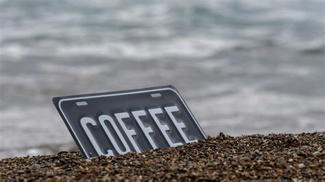 Image result for Opera Revenue Logo