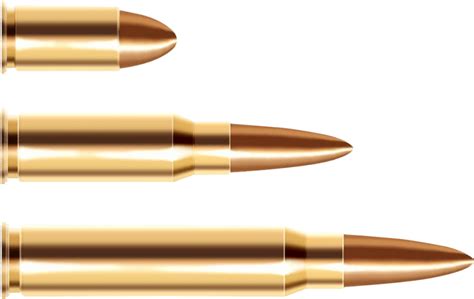 Image result for 3 Birds One Bullet