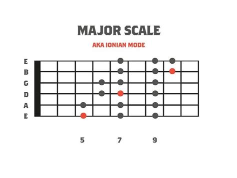Image result for Major Scale On One String