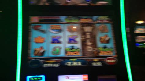 Image result for Timberjack Slot Machine