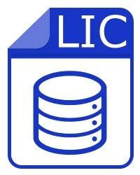 Image result for Open Lic File