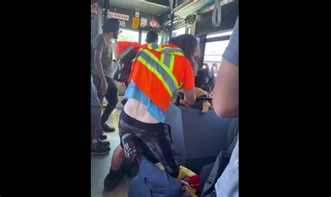 Image result for Transit Bus Fight