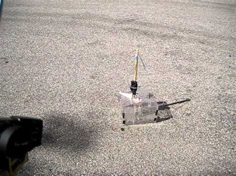 Image result for Easy Homemade Lizard Traps