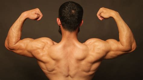 Image result for Strong Back Muscles