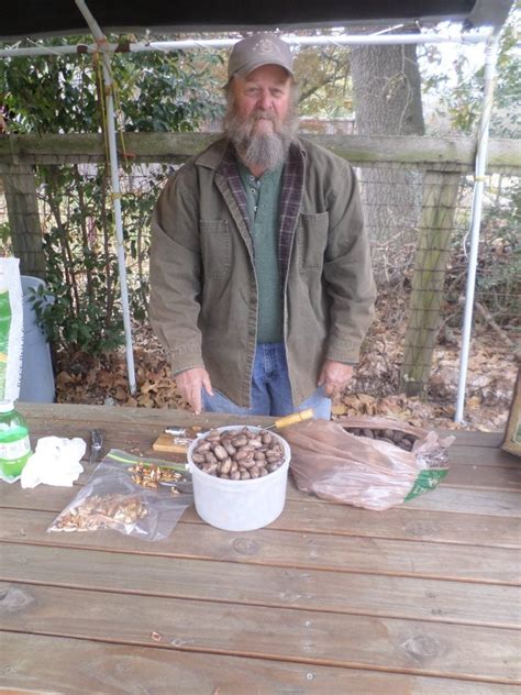 Image result for October Beans