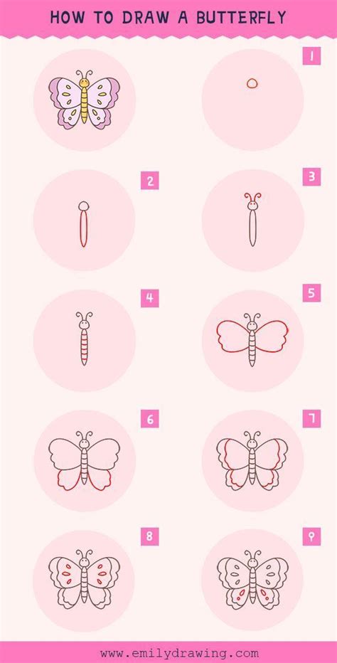 Learn how to draw a butterfly step by step butterfly drawing butterfly ...