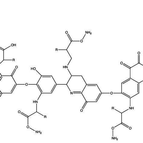 Image result for Humic Acid Structure
