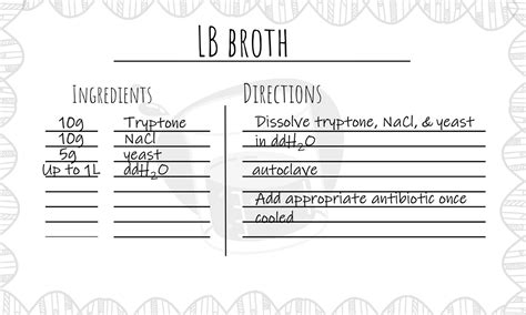 Image result for Lab Recipe Layout