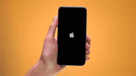 Image result for Reinstall iPhone iOS