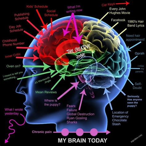 Image result for Brain Map