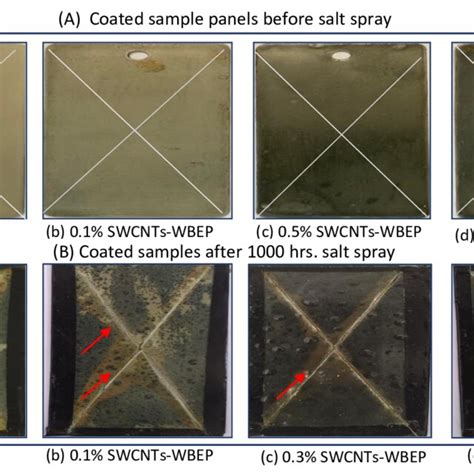 Image result for Salt Spray Test Method