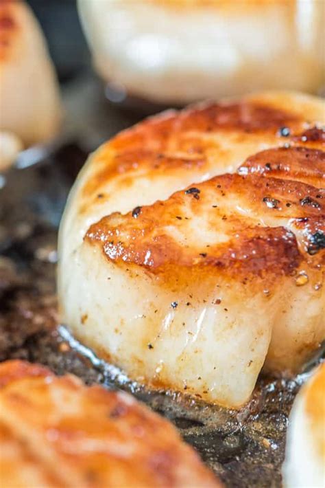 Image result for How to Cook Scallops Perfectly