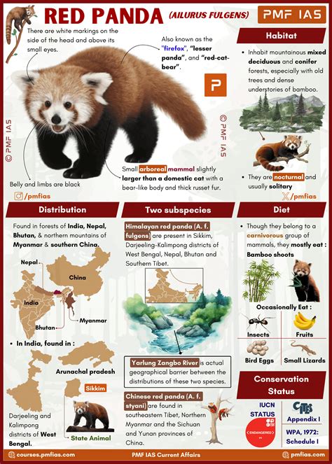 Image result for Red Panda Map