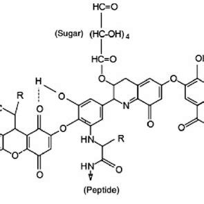 Image result for Humic Acid Structure