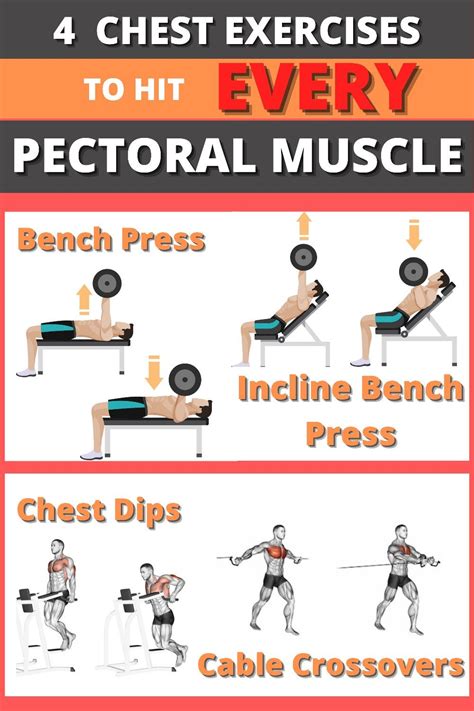 Image result for Quick Chest Training Workout