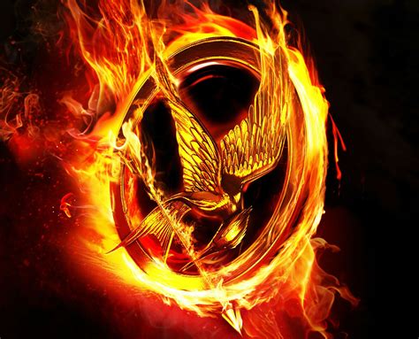 Image result for Blue Mockingjay Hunger Games
