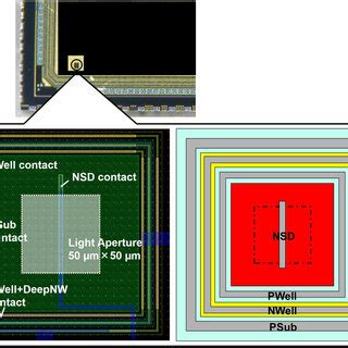 Image result for Color Chip 034P