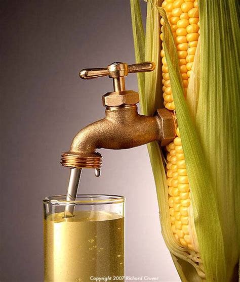 Image result for Corn-Based Bioethanol