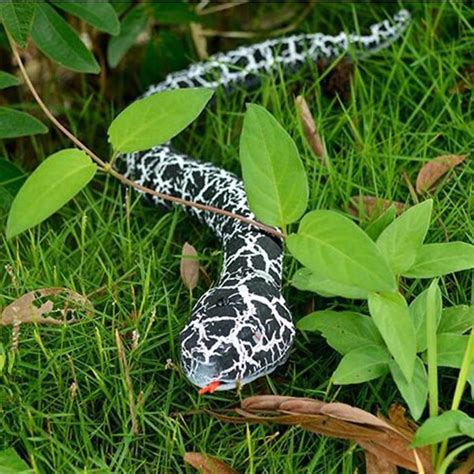 Image result for Remote Controlled Snake Toy