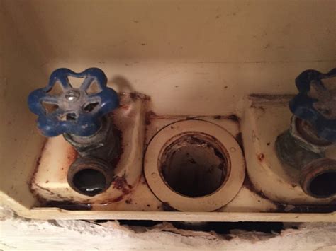 Leaking Drain Pipe in Washing Machine Box | Terry Love Plumbing Advice ...