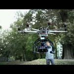 Image result for Fly Vision Stimulus