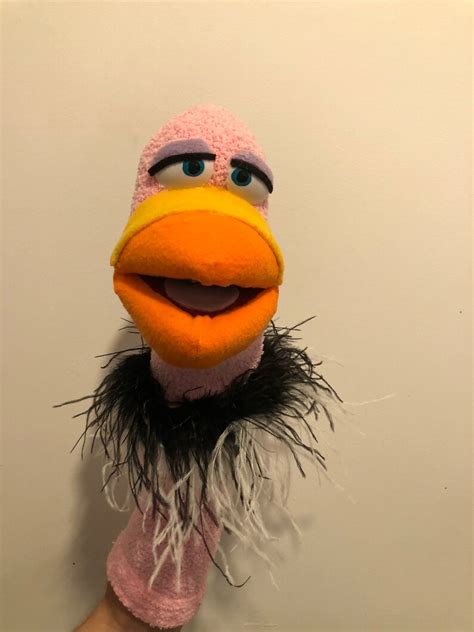 Image result for Bird Puppet