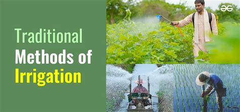 Image result for Traditional Methods of Irrigation Class 8