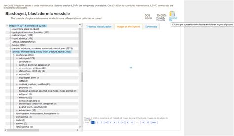 Image result for ImageNet Class