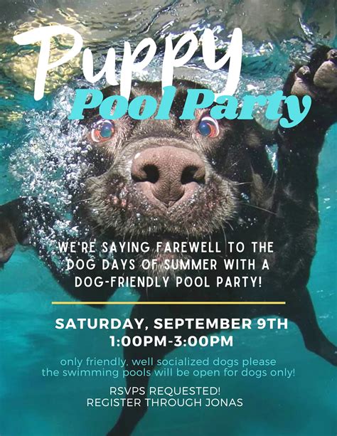 Image result for Pool Party for Dogs