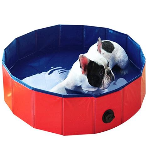 Image result for Inflatable Dog Pool