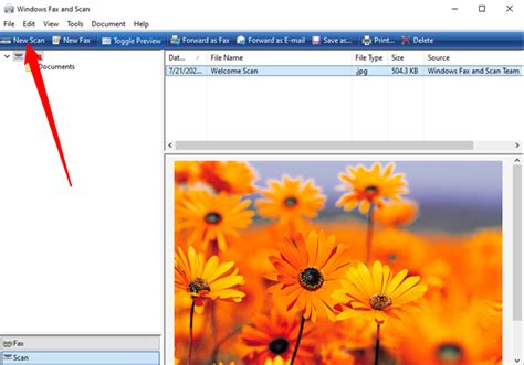 Image result for Scan Options Windows 11