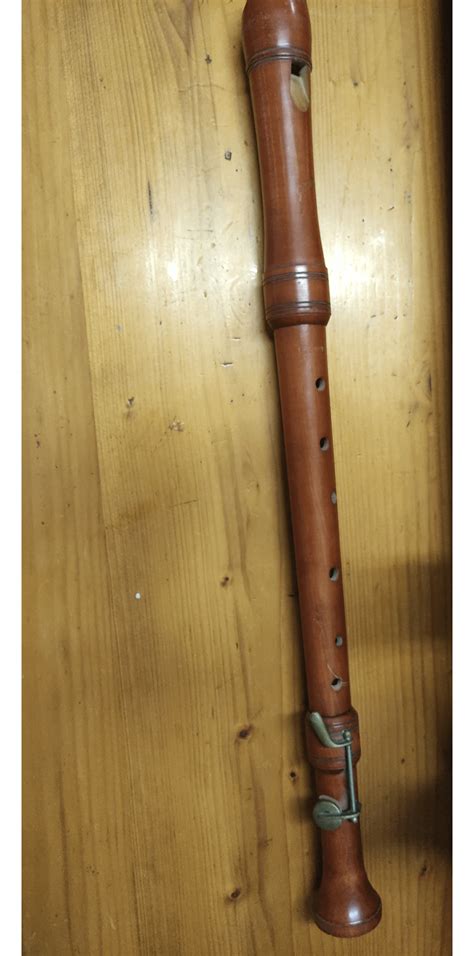 Image result for Tenor Recorder Tutorial