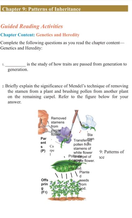 Image result for Inheritance Questions and Answers