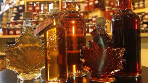 Image result for Quebec Maple Syrup Producers Quebec Maple Syrup Production