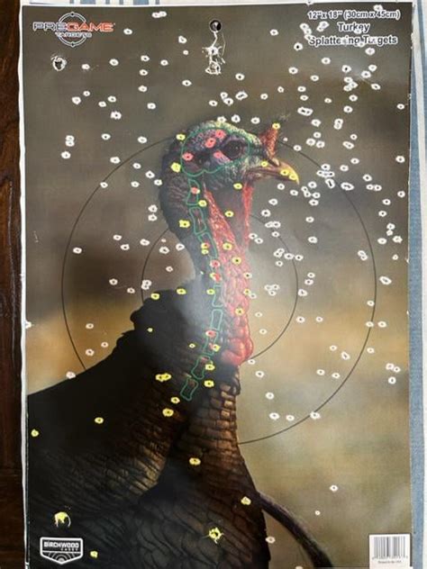 Image result for Patterning Shotgun with Boss Shot Shells