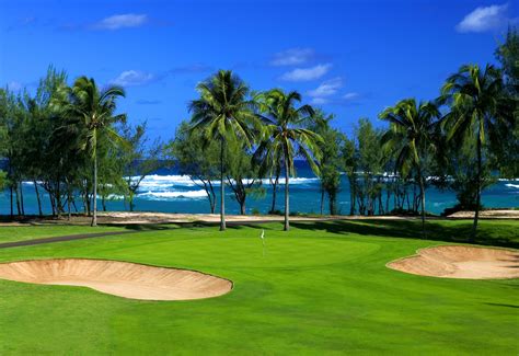 Image result for Turtle Bay Golf Course