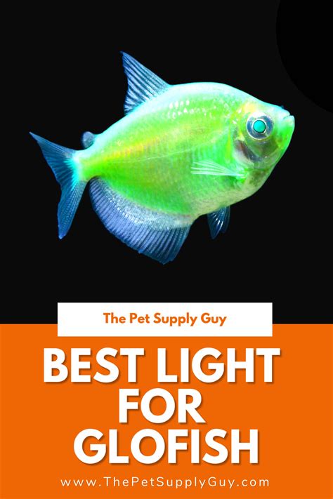 Image result for Finding Nemo Light Fish