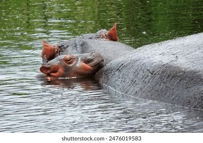 Image result for Unpredictable Future