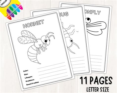 Image result for Printable Insects