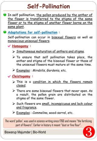 Image result for Examples of Self Pollination