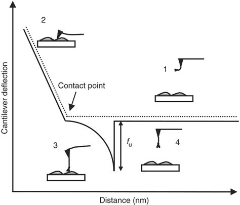 Image result for AFM Force Distance Graph